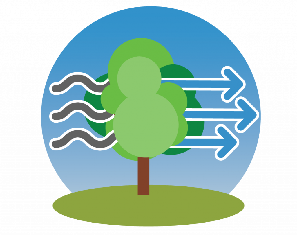 Wat u moet weten over luchtkwaliteit – Curieuzeneuzen